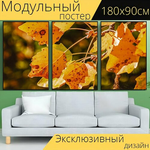 Модульный постер "Падение, осенние листья, листья" 180 x 90 см. для интерьера
