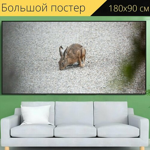 Большой постер "Кроличьи уши, кролик, пасхальный заяц" 180 x 90 см. для интерьера