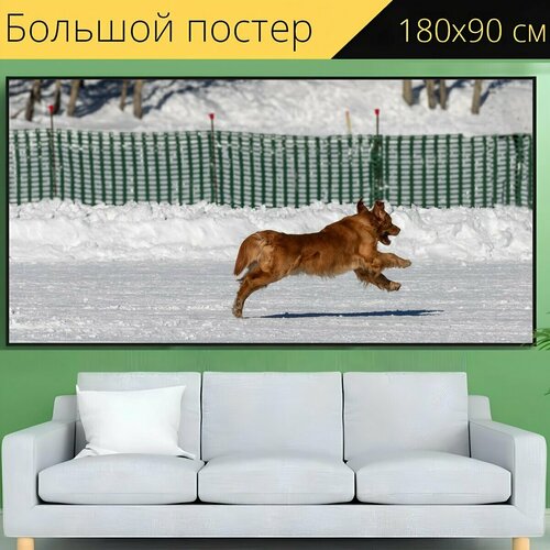 Большой постер "Собака, снег, прыгнуть" 180 x 90 см. для интерьера