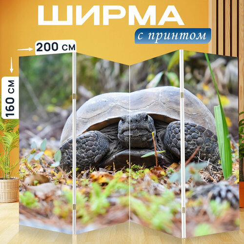 Ширма перегородка с принтом "Черепаха, природа, животное" на холсте - 200x160 см. для зонирования, раскладная