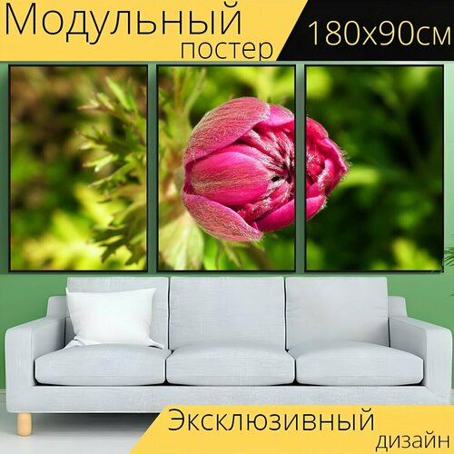 Модульный постер "Анемон, цветок, весна" 180 x 90 см. для интерьера