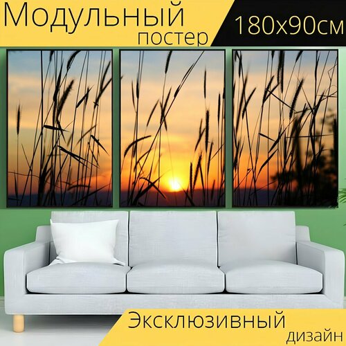 Модульный постер "Заход солнца, вечер, травы" 180 x 90 см. для интерьера