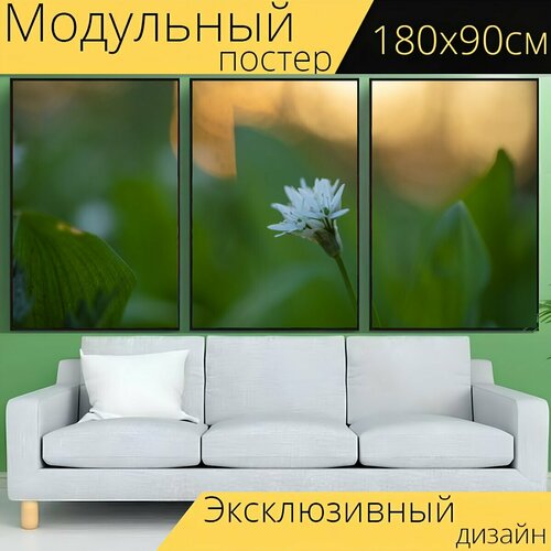 Модульный постер "Цветок, вечернее солнце, овощ" 180 x 90 см. для интерьера