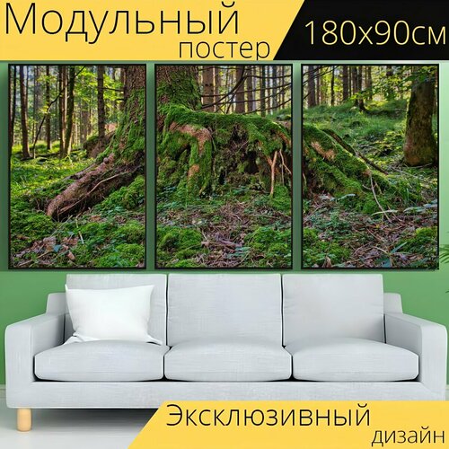 Модульный постер "Дерево, лес, корень" 180 x 90 см. для интерьера
