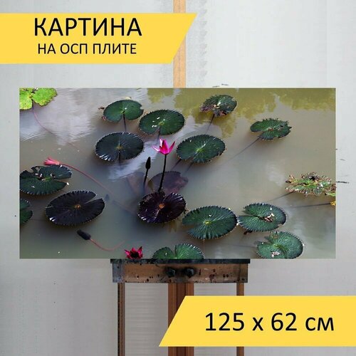 Картина на ОСП 125х62 см. "Природа, водяная лилия, соединение" горизонтальная, для интерьера, с креплениями