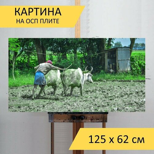 Картина на ОСП 125х62 см. "Индийский, бык, фермер" горизонтальная, для интерьера, с креплениями