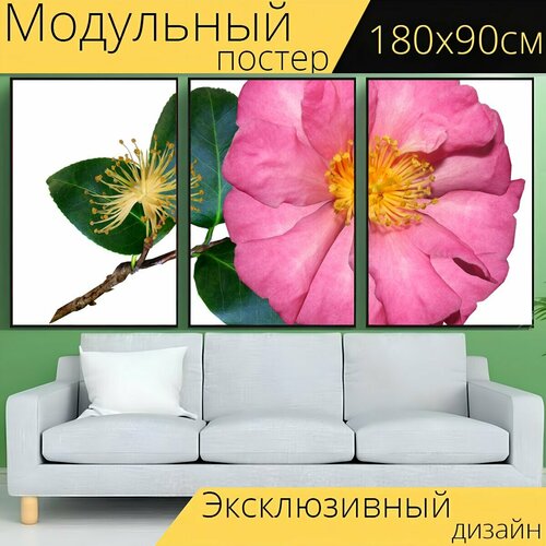 Модульный постер "Камелия, цветок, один розовый" 180 x 90 см. для интерьера