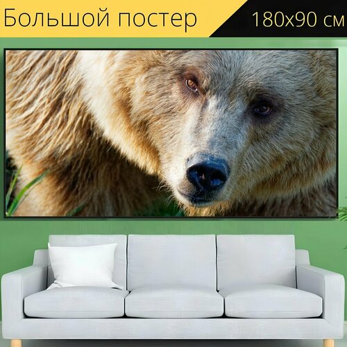 Большой постер "Нести, бурый медведь, дикая природа" 180 x 90 см. для интерьера