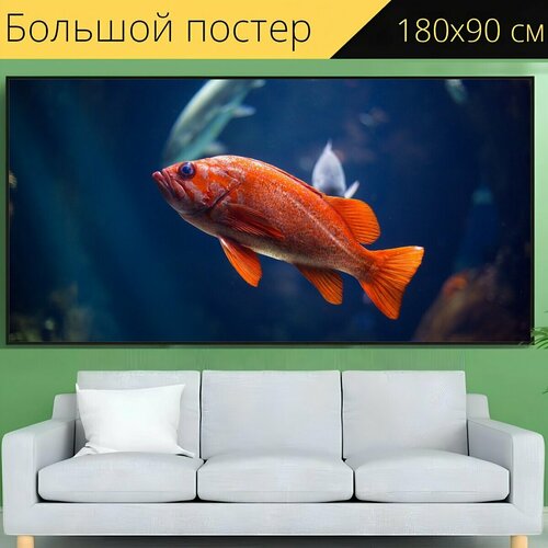 Большой постер "Апельсин, рыбы, водный" 180 x 90 см. для интерьера