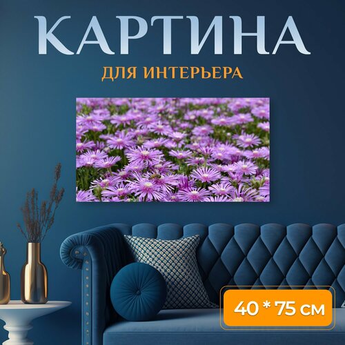 Картина на холсте "Обуви, цветы, фиолетовый" на подрамнике 75х40 см. для интерьера