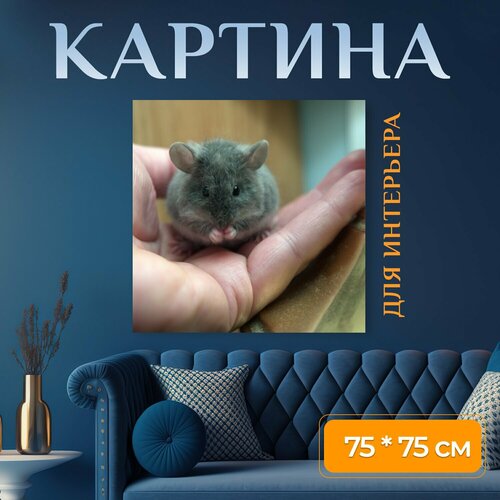 Картина на холсте "Мышь, рука, груминг" на подрамнике 75х75 см. для интерьера
