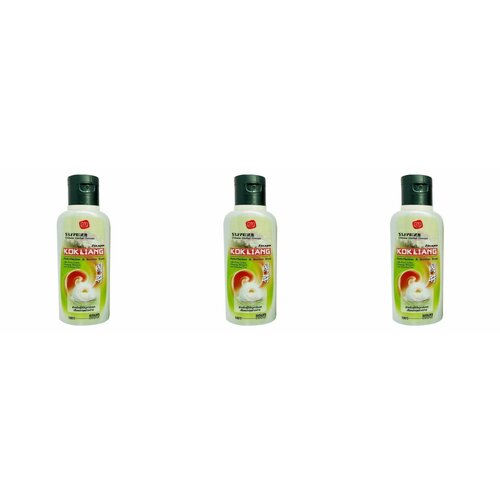 Натуральный травяной шампунь Kokliang против перхоти, Chinese Herbal Therapy Anti-Hairloss & Soothes Scalp Shampoo, 100 мл, 3 шт