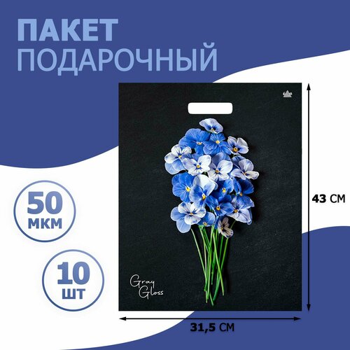 Пакет подарочный полиэтиленовый с укрепленной ручкой 430х315 мм, 50 мкм, набор 10 шт