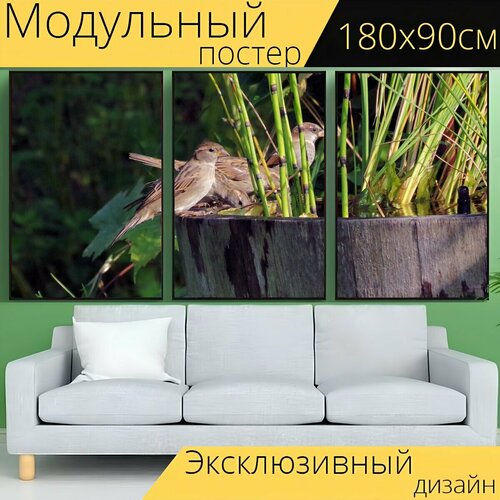 Модульный постер "Птица, сад, воробей" 180 x 90 см. для интерьера