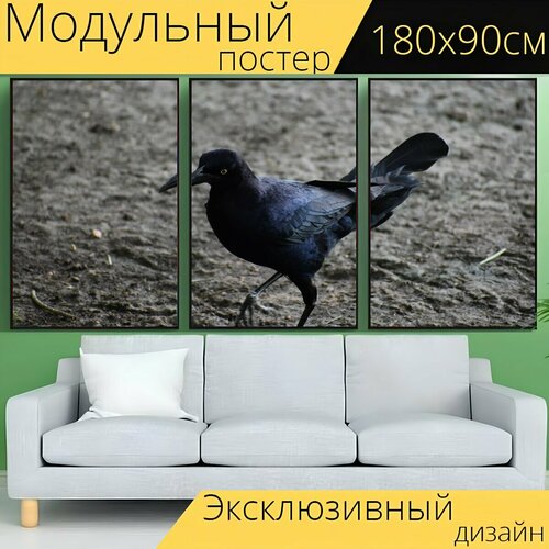 Модульный постер "Ворон, ворона, черная птица" 180 x 90 см. для интерьера