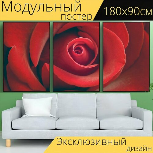 Модульный постер "Роза, цветок, весна" 180 x 90 см. для интерьера