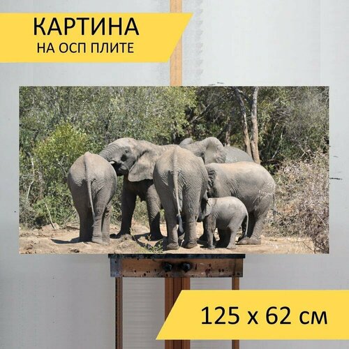 Картина на ОСП 125х62 см. "Семья слонов, слон, бивни" горизонтальная, для интерьера, с креплениями