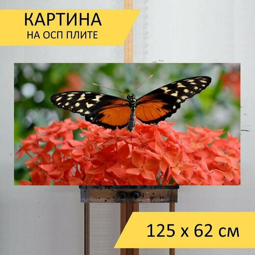 Картина на ОСП 125х62 см. "Бабочка, крылья, красные цветки" горизонтальная, для интерьера, с креплениями
