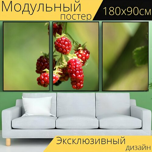Модульный постер "Ежевика, фрукты, куст" 180 x 90 см. для интерьера