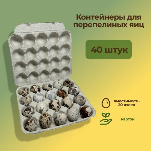 Упаковка из картона (контейнер) для перепелиных яиц 40 шт (по 20 ячеек)