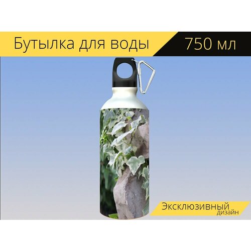 Бутылка фляга для воды "Плющ, пестролистный плющ, растение плющ" 750 мл. с карабином и принтом