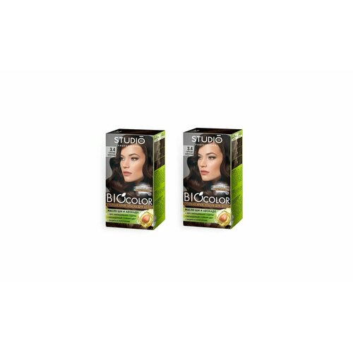 Studio Professional Essem Hair Крем-краска стойкая для волос BioColor, тон 3.4, Горячий шоколад, 50/50/15 мл, 2 упаковки