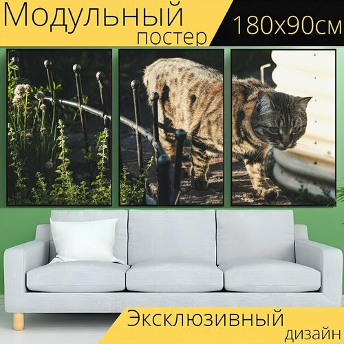 Модульный постер "Кошка, сад, домашний питомец" 180 x 90 см. для интерьера