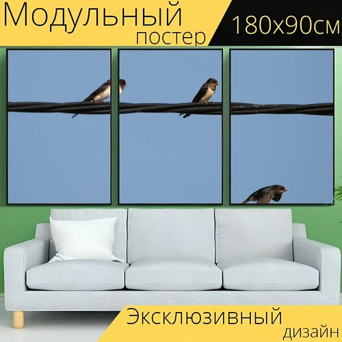 Модульный постер "Ласточка на проводе, глотать, летом птица" 180 x 90 см. для интерьера