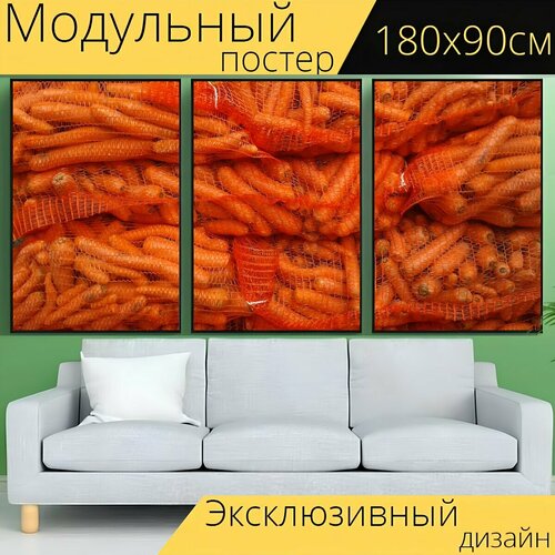 Модульный постер "Морковь, желтая свекла, кормовая свекла" 180 x 90 см. для интерьера