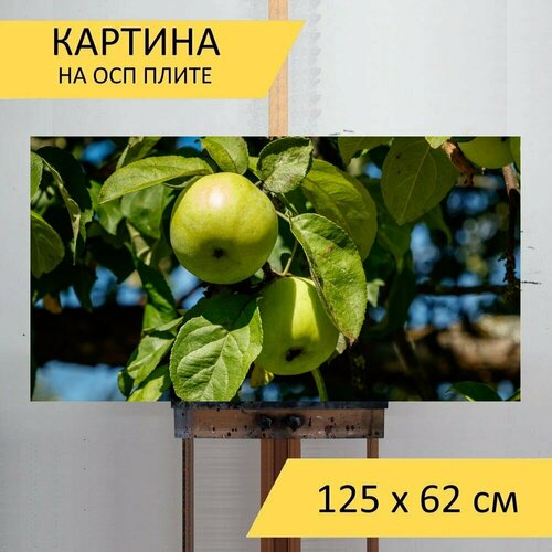 Картина на ОСП 125х62 см. "Яблоки, листья, плоды" горизонтальная, для интерьера, с креплениями