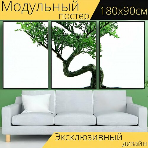 Модульный постер "Бонсай, дерево, зеленый" 180 x 90 см. для интерьера