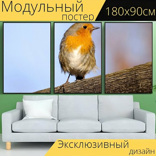 Модульный постер "Робин, птица, певчая птица" 180 x 90 см. для интерьера
