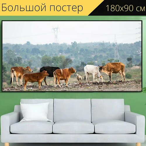 Большой постер "Коровы, крупный рогатый скот, ферма" 180 x 90 см. для интерьера