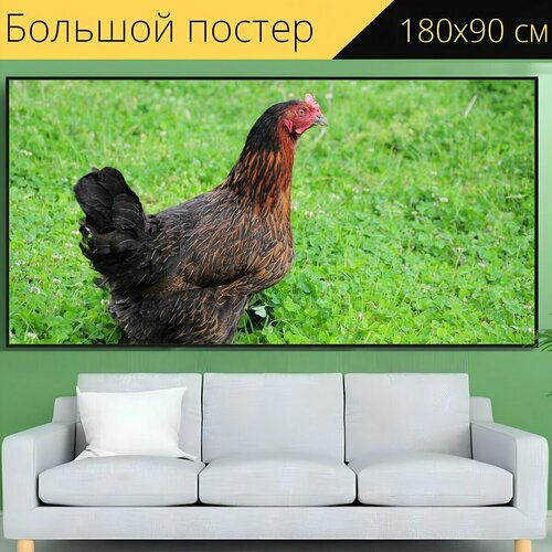 Большой постер "Курица, курица с официального, курица фотографии" 180 x 90 см. для интерьера