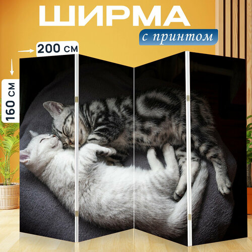 Ширма перегородка с принтом "Котенок, кот, восхитительный" на холсте - 200x160 см. для зонирования, раскладная