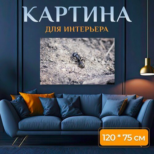 Картина на холсте "Муравей, насекомое, земля" на подрамнике 120х75 см. для интерьера