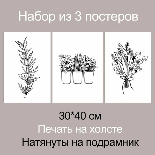 Набор постеров на холсте "Растения" 3 штуки 30*40 см на подрамниках