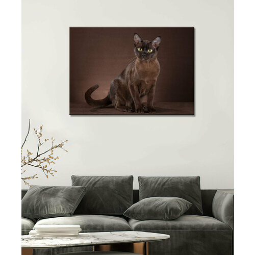 Картина - кошка, бурманская кошка, кот, тёмная кошка, ласковая кошка (39) 60х80