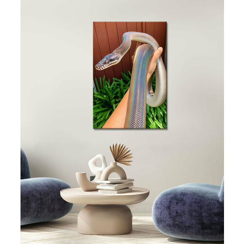 Картина - змея, лучистая змея, питон, змея в руке, змея на солнце (52) 20х30