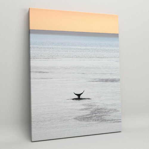Картина на холсте (интерьерный постер) "Хвост кита" пейзажи, с деревянным подрамником, размер 45x60 см