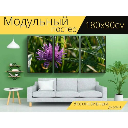 Модульный постер "Василек, настоящий василька, остроконечный цветок" 180 x 90 см. для интерьера