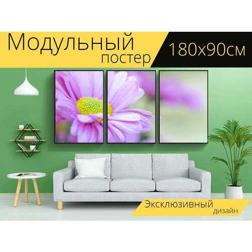 Модульный постер "Астра, цветок, завод" 180 x 90 см. для интерьера