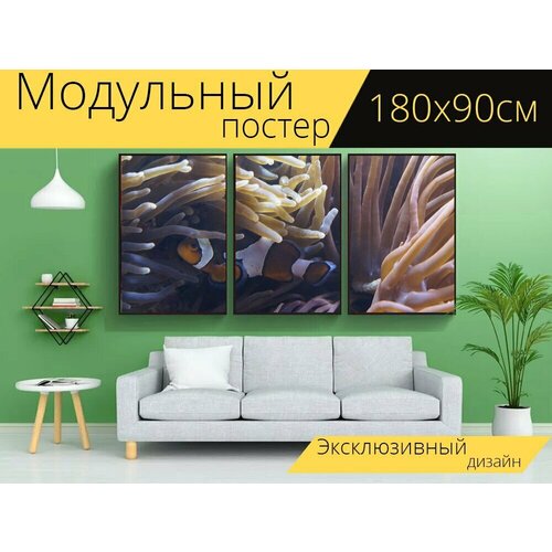Модульный постер "Анемоны, морские анемоны, подводный мир" 180 x 90 см. для интерьера