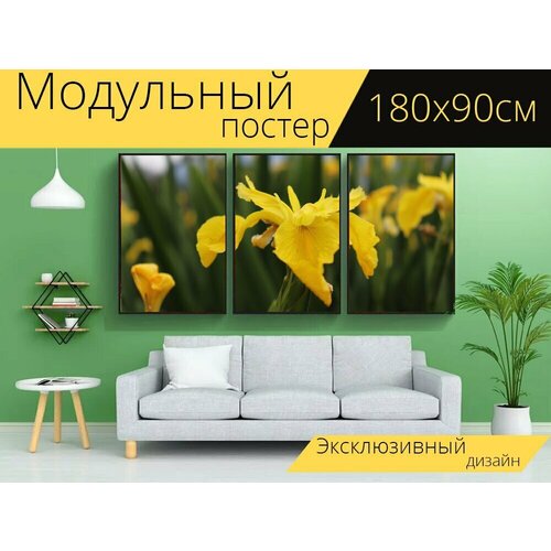 Модульный постер "Природа, дикий, цветок желтый" 180 x 90 см. для интерьера