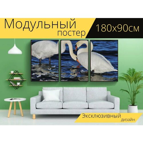 Модульный постер "Благородный, лебедь, растушевка" 180 x 90 см. для интерьера