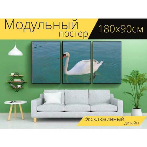 Модульный постер "Лебедь, птица, изящный" 180 x 90 см. для интерьера