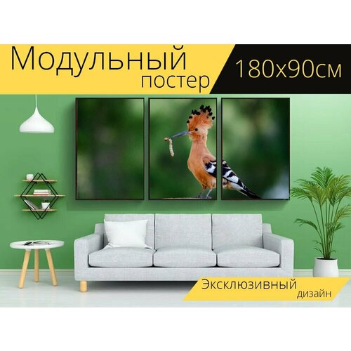 Модульный постер "Удод, африканец, птица" 180 x 90 см. для интерьера
