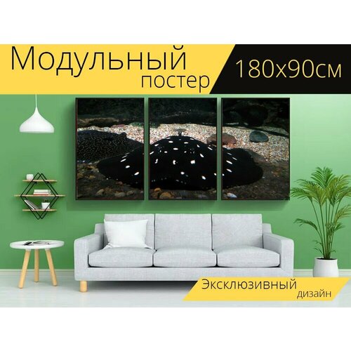Модульный постер "Пятнистый скат, скат, животное" 180 x 90 см. для интерьера