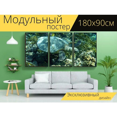 Модульный постер "Морская черепаха, нырять, подводный" 180 x 90 см. для интерьера