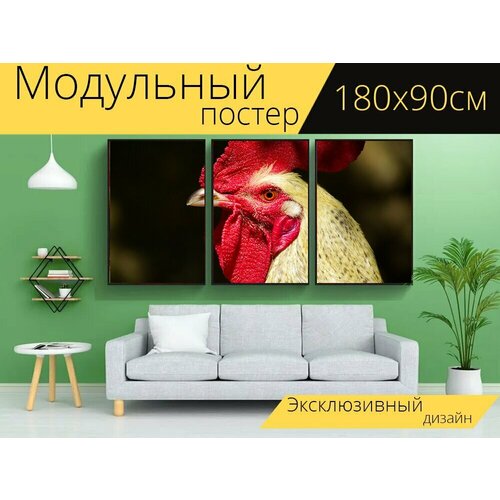 Модульный постер "Галло, курица, животные" 180 x 90 см. для интерьера